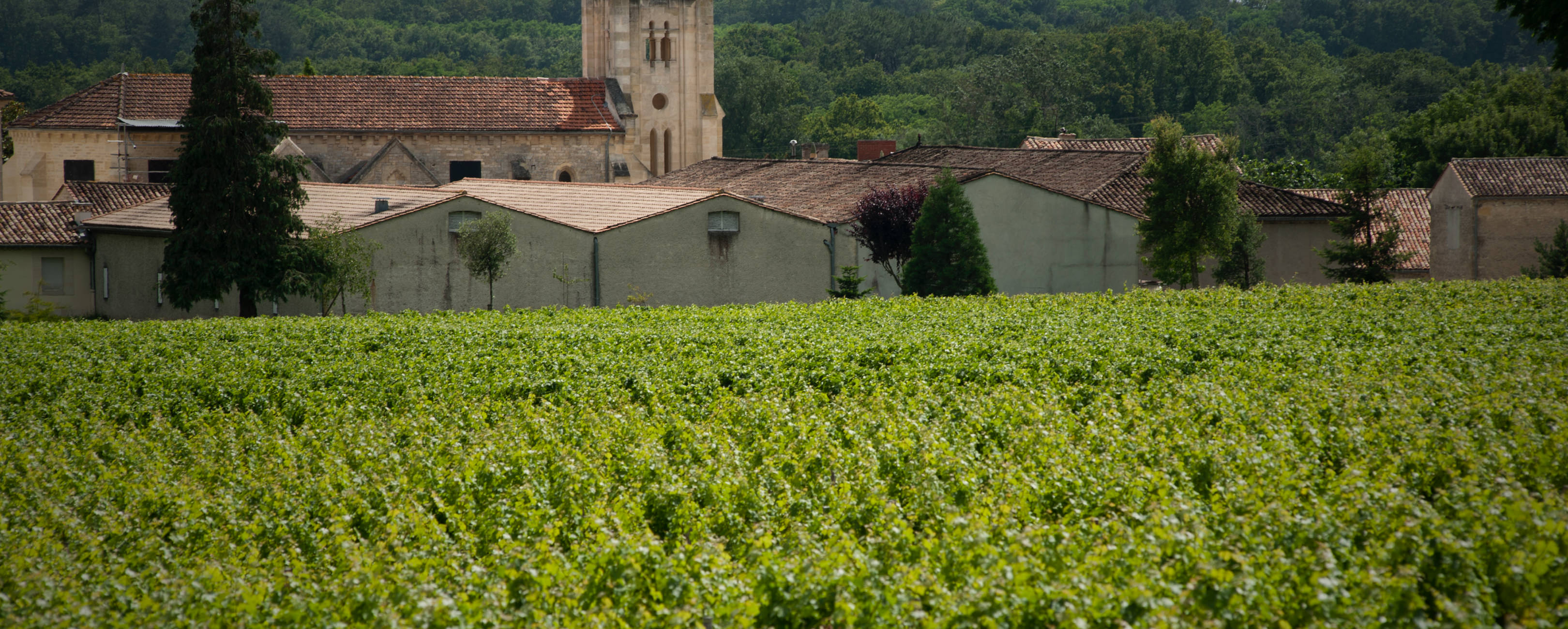 Château Potensac - Conseil des Vins du Médoc